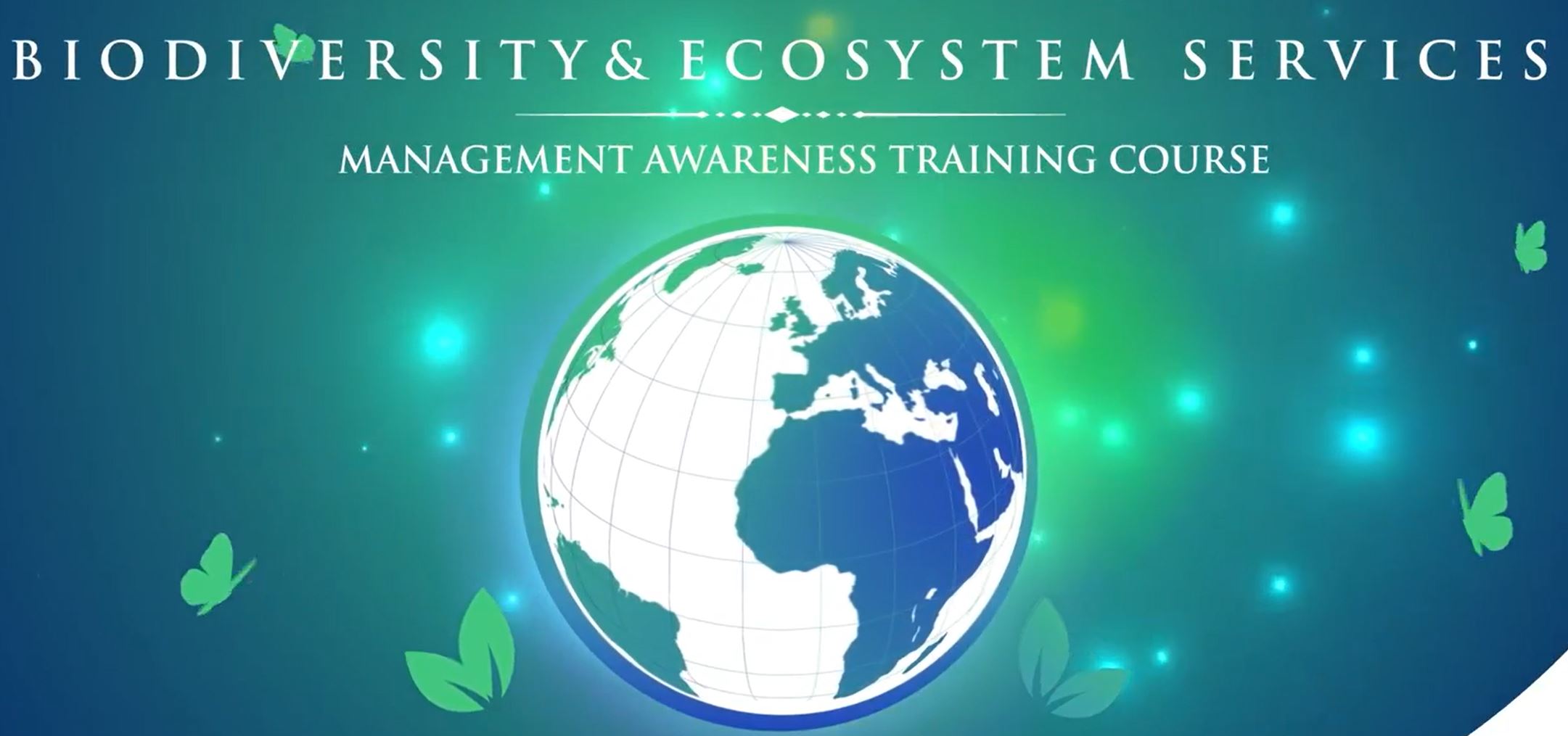 Biodiversity and Ecosystem Services Management (EN)